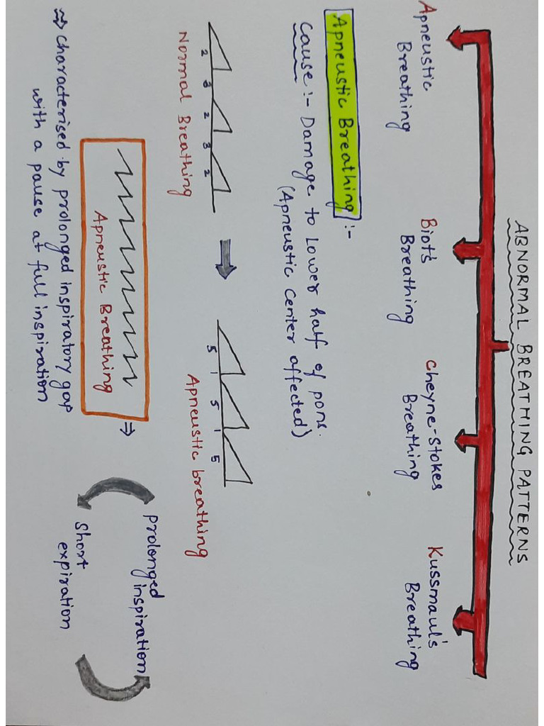 Abnormal Breathing Patterns | PDF