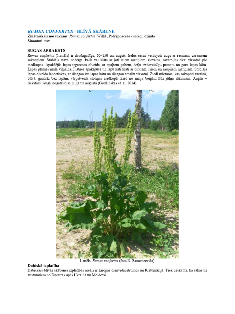 Invaz Sugas Faktu Lapas Augi Bliva Skabene1 | PDF