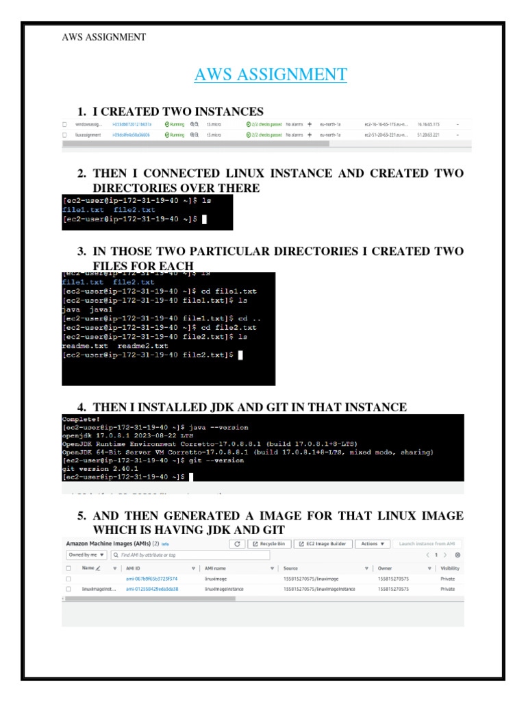Aws Assignment Pdf 