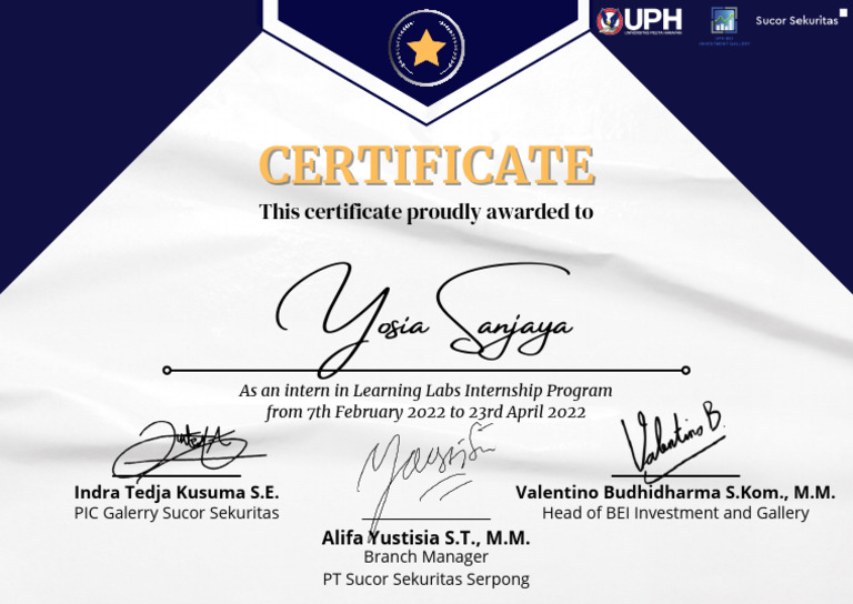 Learning Labs Certificate - Participant-49 | PDF