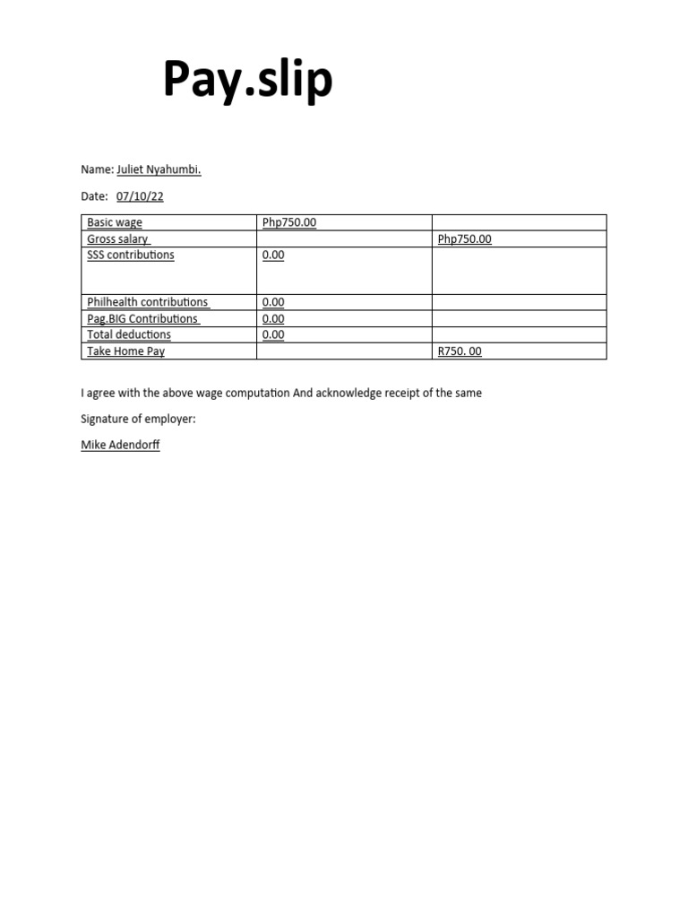 Pay Slip | PDF