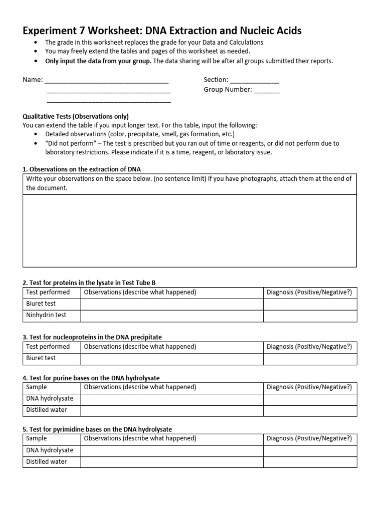 7 - Modified DNA Extraction Nucleic Acids Worksheet | PDF