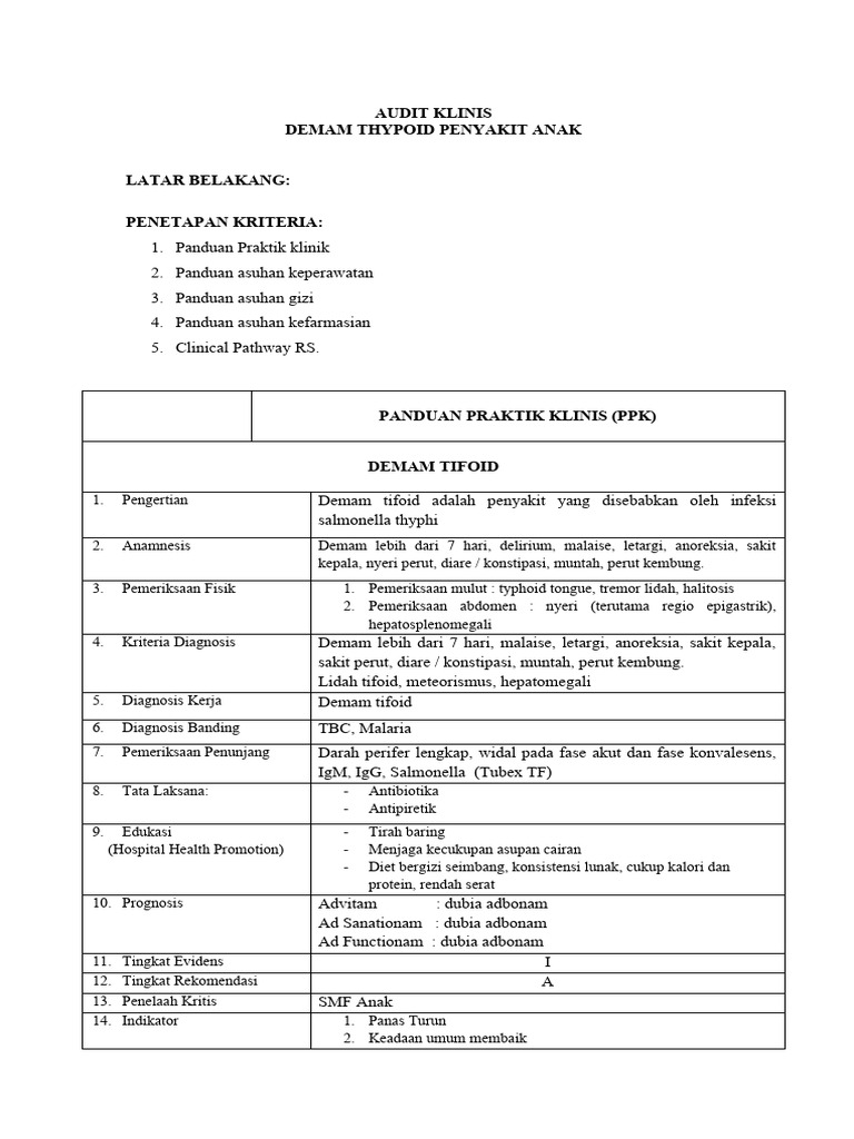 13a.contoh Lap Audit Klinis | PDF