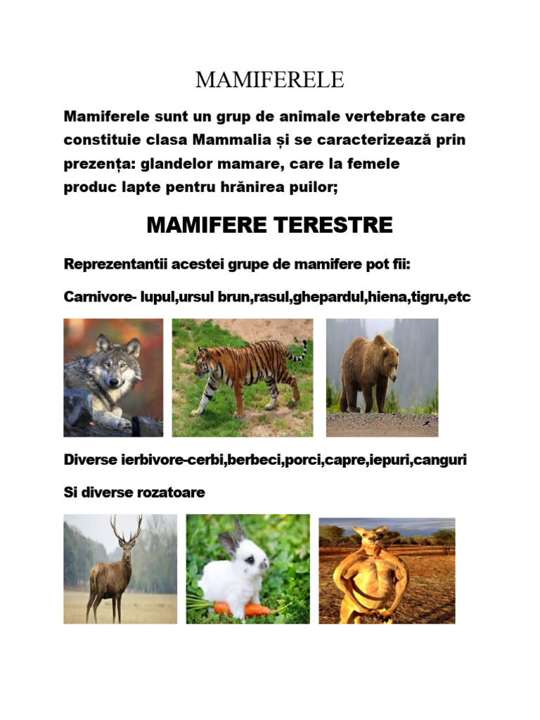Mamiferele Acvatice | PDF