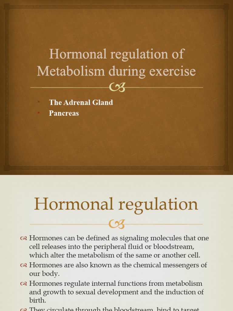 Hormonal Regulation of Metabolism During Exercise | PDF