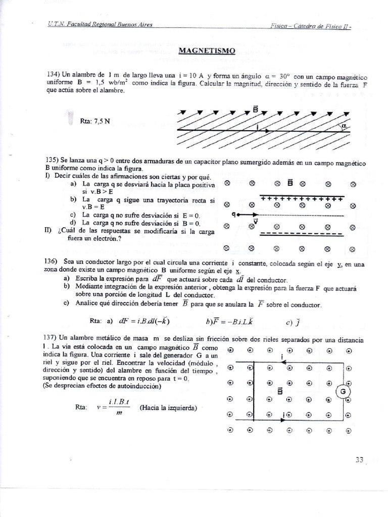 Guia Complementaria Magnetostatica | PDF