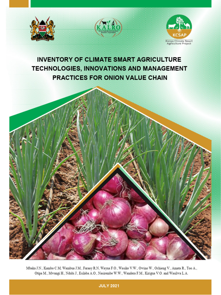 Onion Timps | PDF | Agriculture | Onion