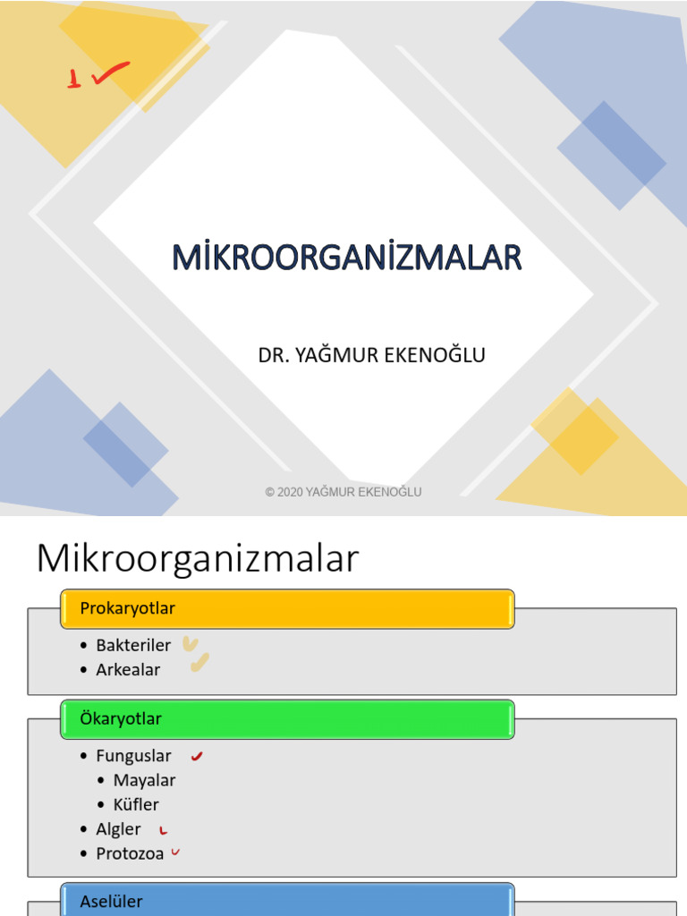 Ders 2 Notability | PDF