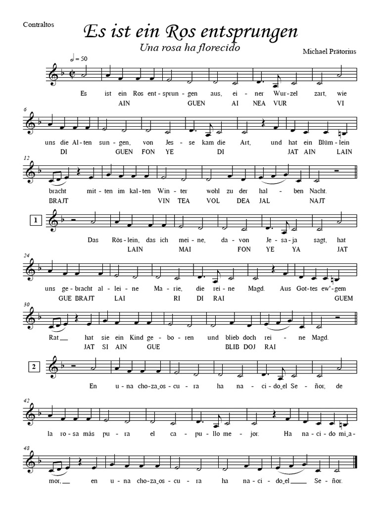 Es Ist Ein Ros Entsprungen - Contraltos | PDF