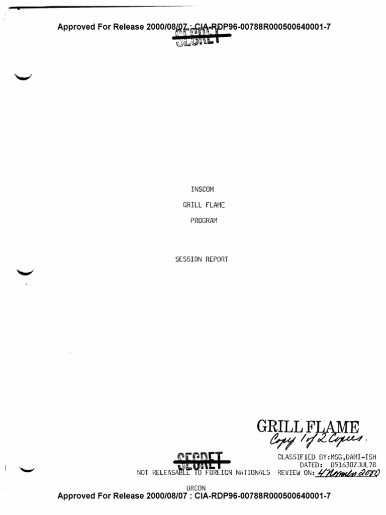 Grill Flame Program PDF | PDF