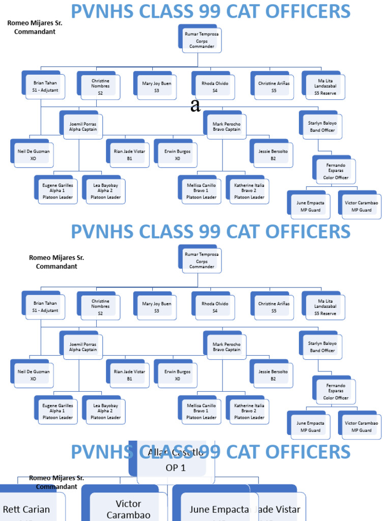 Class 99 CAT Officers | PDF