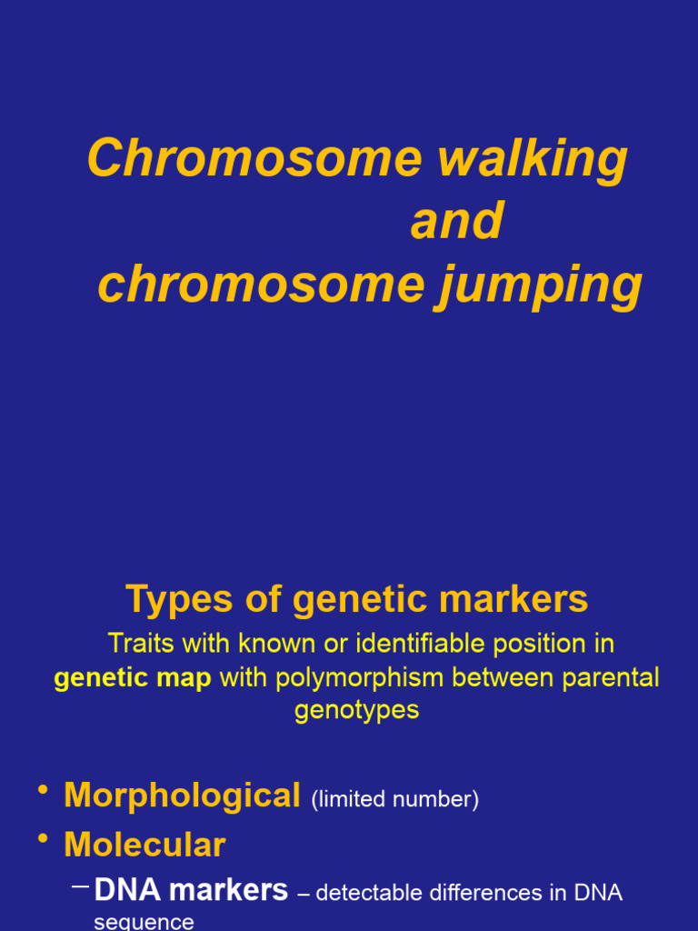 Chromosome Walking and Jumping | PDF