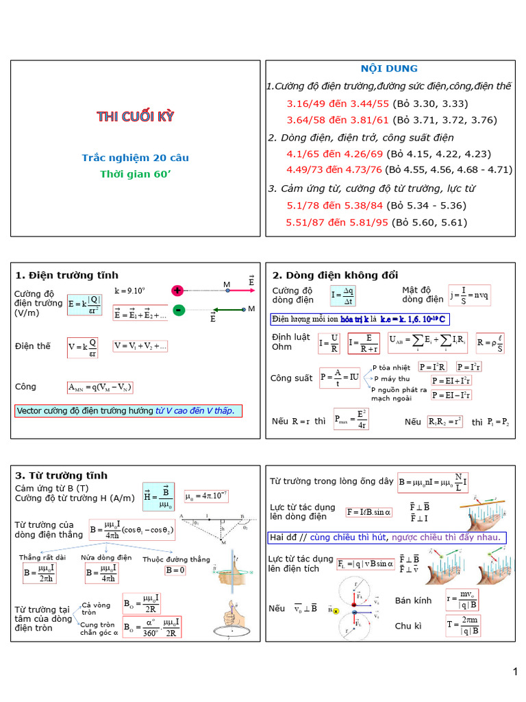 VLDC ÔN TẬP CK sv | PDF