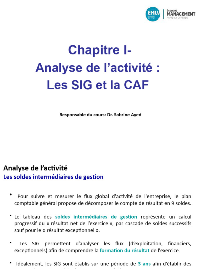 Analyse des Soldes Intermédiaires de Gestion | PDF