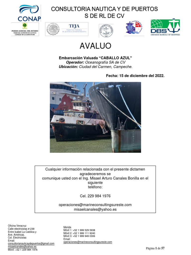 Avaluo Caballo Azul | PDF | Depreciación