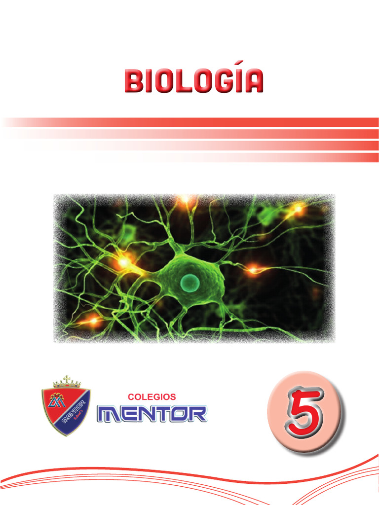 Biologia - 5TO - I Trim | PDF | Organismos | Metabolismo