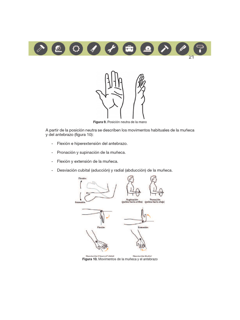 Tipos de agarre y posición neutra de la mano | PDF | Mano | Fuerza