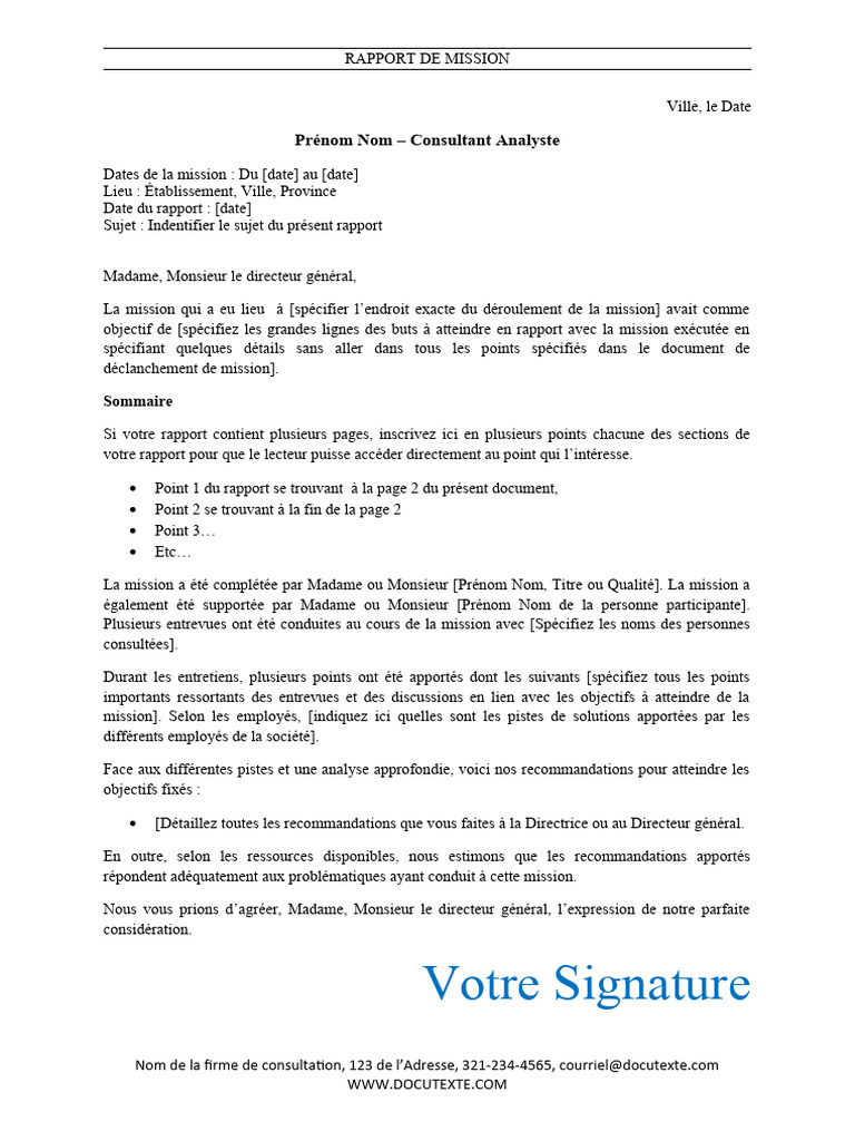 Modele Standard de Rapport de Mission | PDF