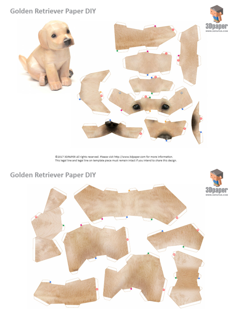 Golden Retriever | PDF