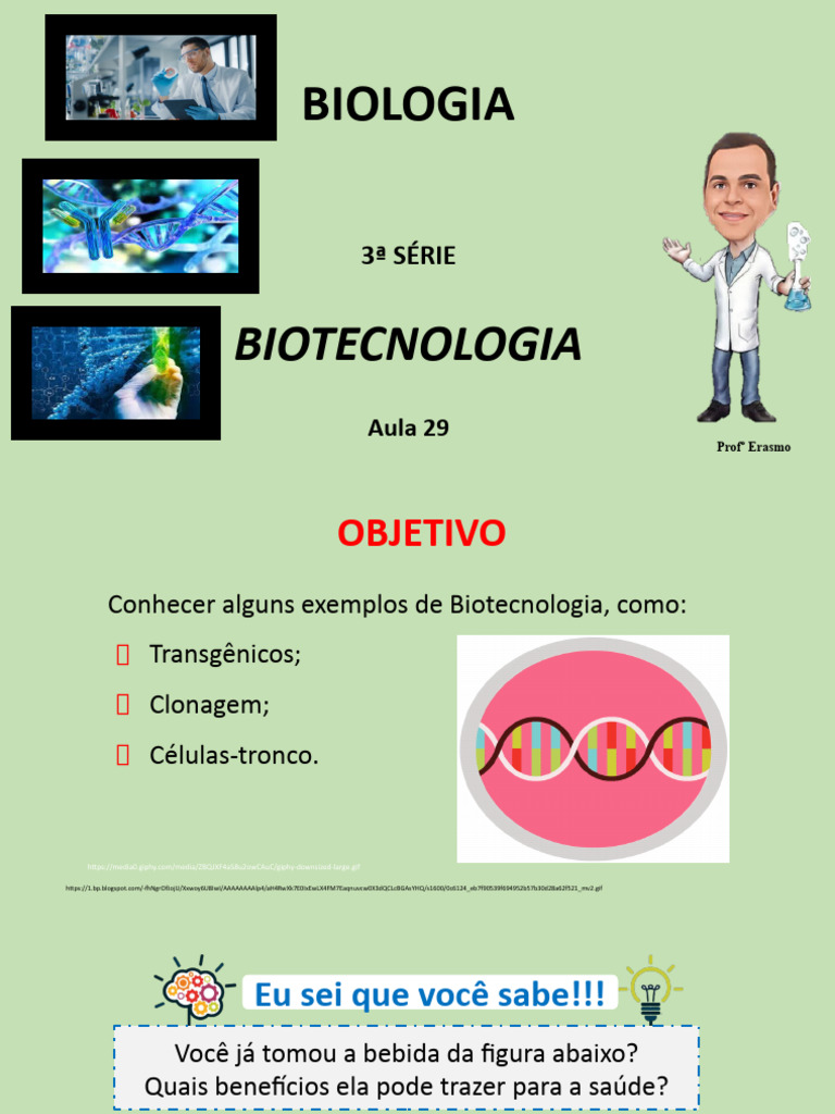 Biologia 3 Série Slides Aula29 | PDF