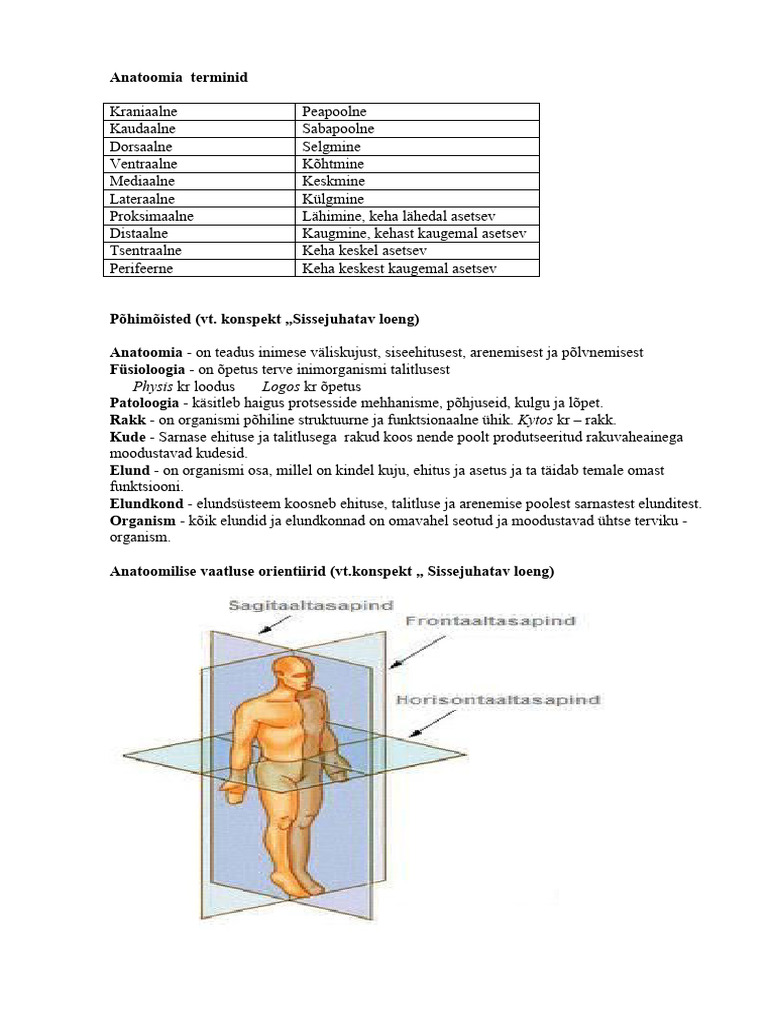 1.6.anatoomia Terminid | PDF