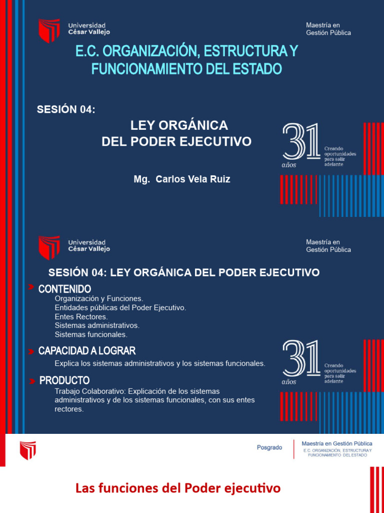SESIÓN - 4 - Ley Orgánica Del Poder Ejecutivo | PDF