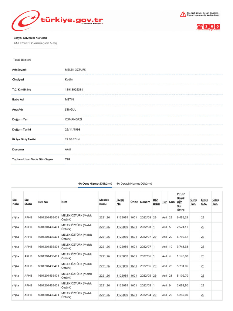Bowser Document | PDF