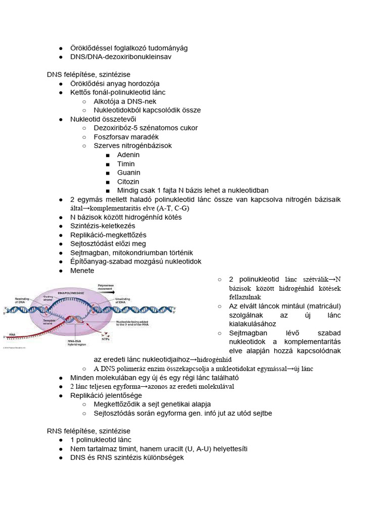 Genetika-Bevezető, DNS, RNS | PDF