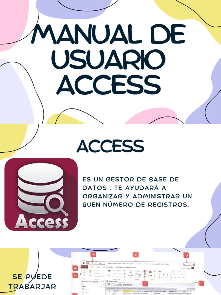 Manual de Usuario Access AE E3 | PDF | Microsoft Excel | Bases de datos