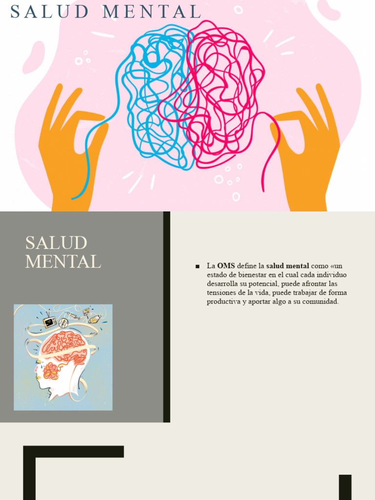 Salud Mental 2 Pdf