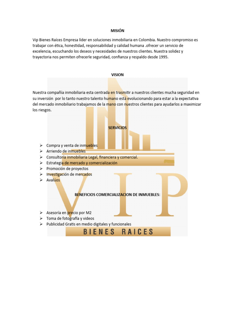 Mision Vision Vip | PDF