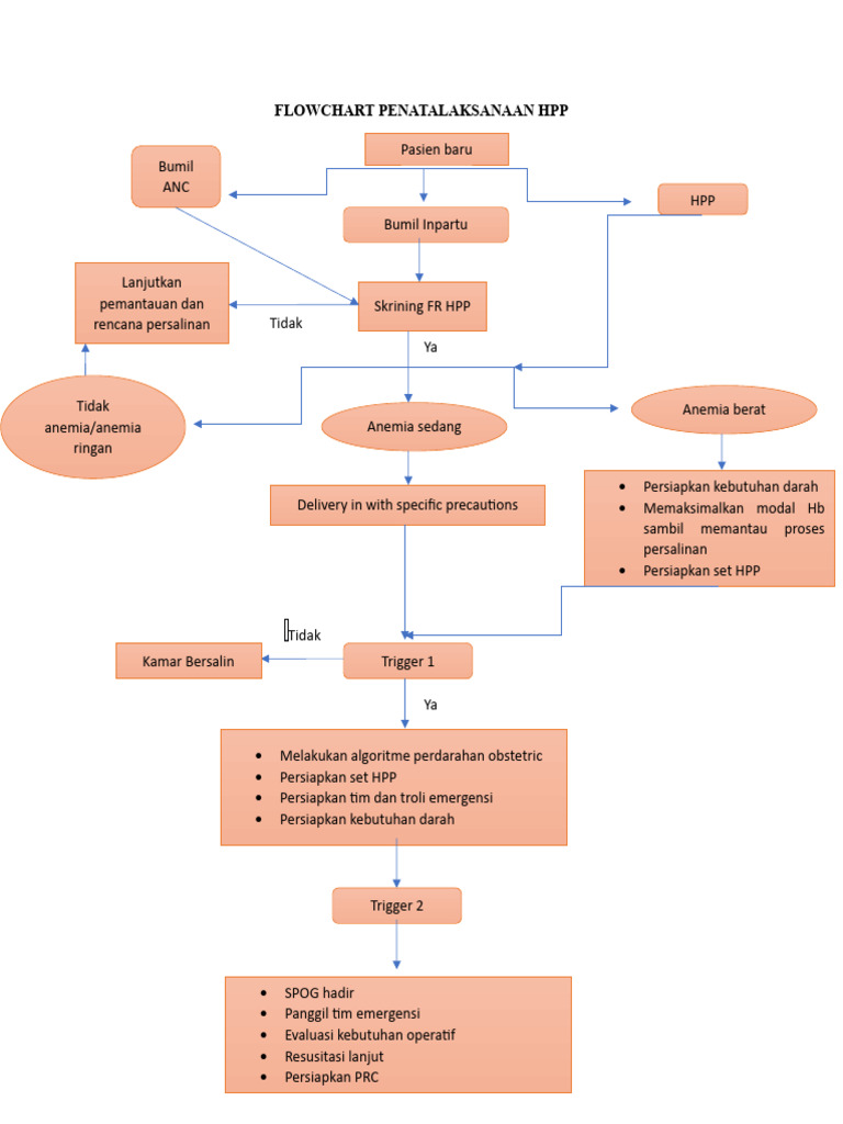 Flowchart Penatalaksanaan HPP | PDF