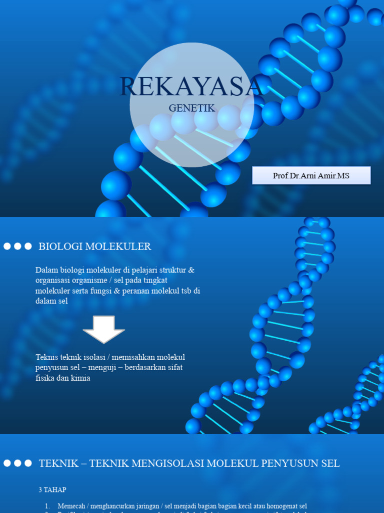 Rekayasa Genetik | PDF