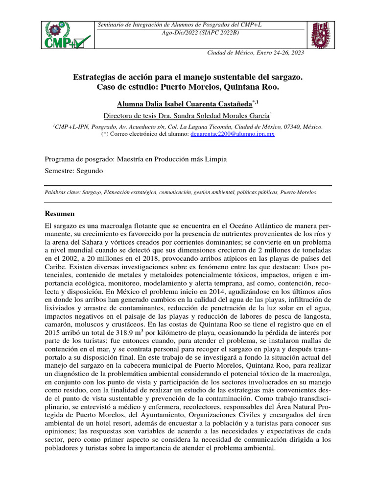 Resumen - Seminario - Dalia Cuarenta | PDF