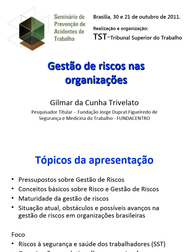 Gilmar Trivelatto Gestao de Riscos Nas Organizacoes | PDF