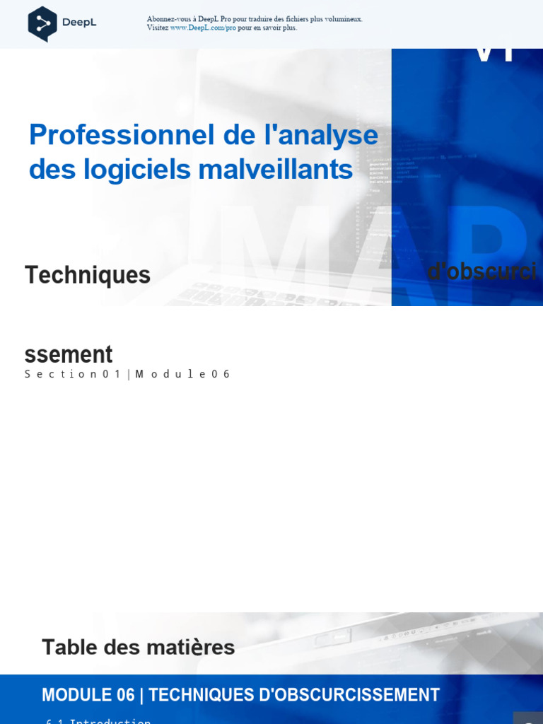 Obfuscation Techniques | PDF