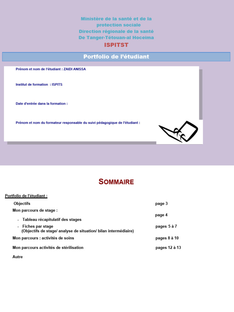Portfolio de l'étudiant infirmier | PDF