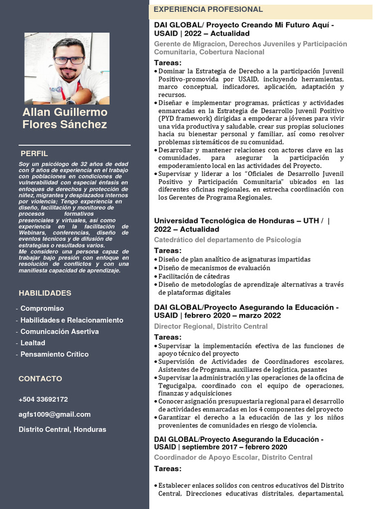 CV Allan 2023. Condensado | PDF