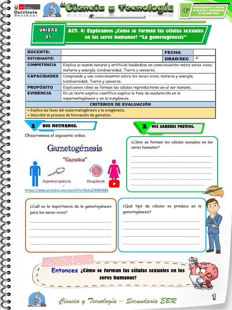 C-4º Act 4-Cyt-Und 5 - Sem 3 | PDF