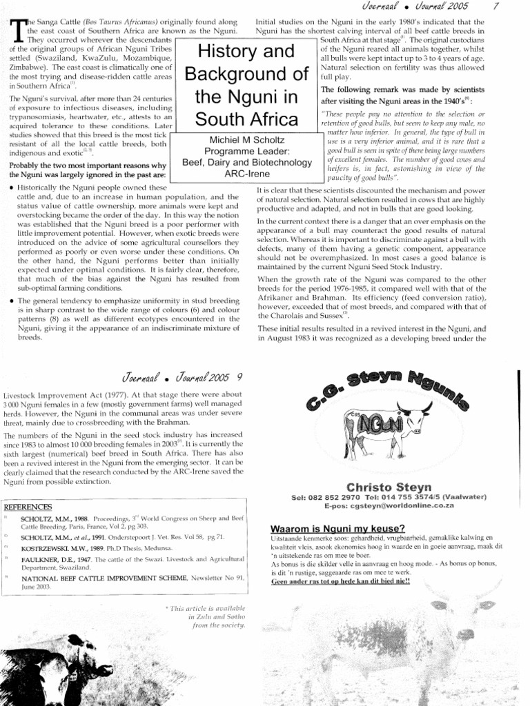 History and Background of The Nguni | PDF