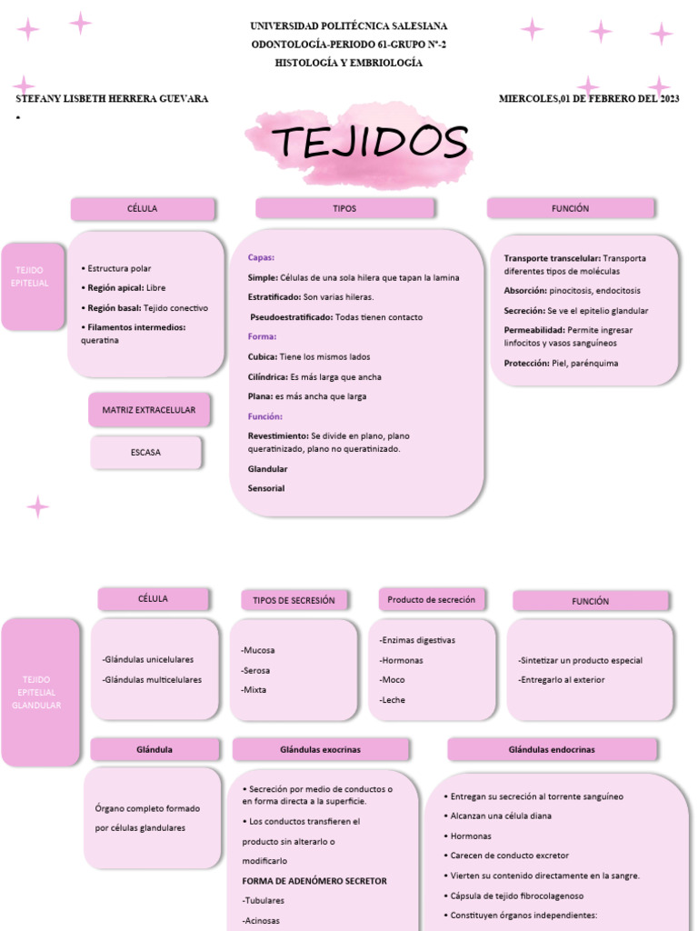 Tejidos | PDF