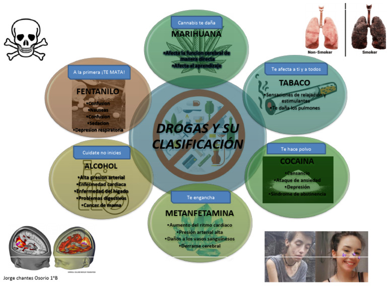 Clasificacion de Las Drogas 1 | PDF