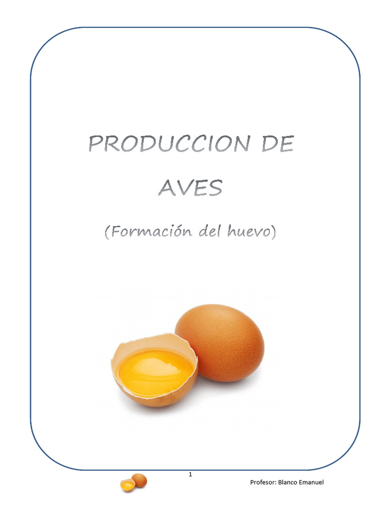 6-Formacion Del Huevo | PDF | Salud y bienestar | Ciencia y matemáticas
