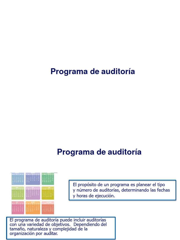 Plan-y-Programa-de-Auditoria 1142 0 | PDF