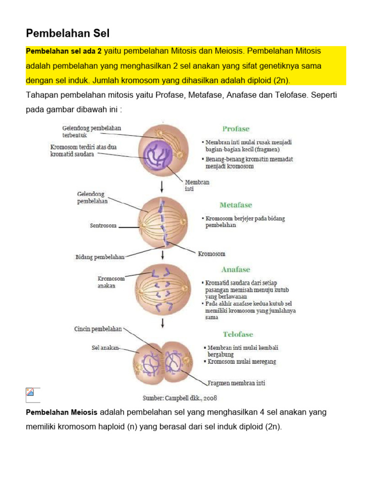 Biologi: Pembelahan Sel & Reproduksi | PDF