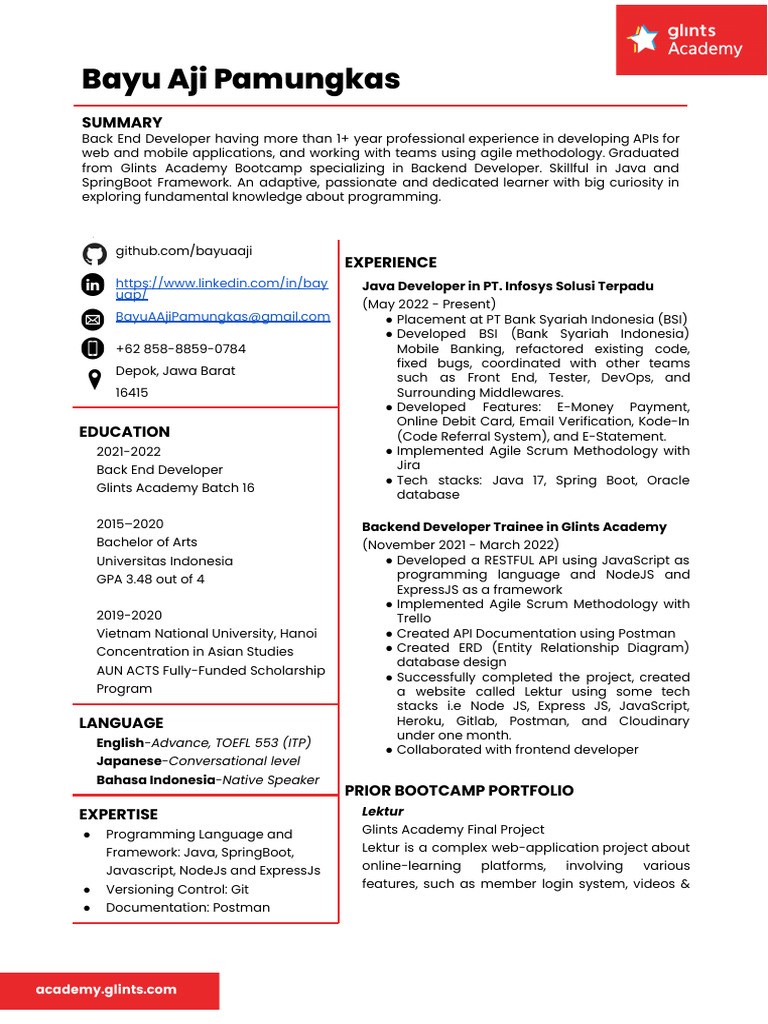 CV Bayu Aji Pamungkas | Download Free PDF | Computing | Software ...