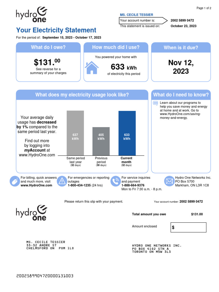 Your Electricity Statement: What Do I Owe? How Much Did I Use? When Is ...