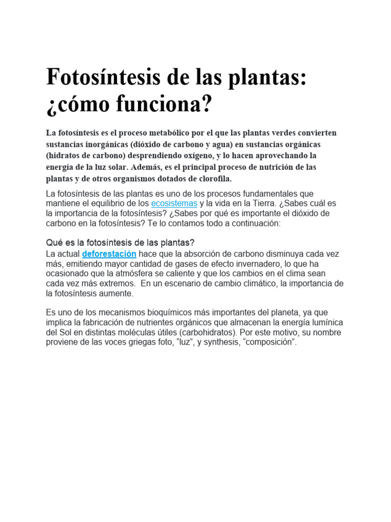 Fotosíntesis de Las Plantas | PDF | Salud y bienestar | Ciencia y ...