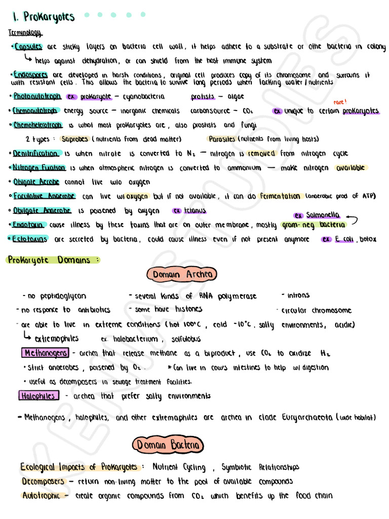 Plant Biology Exam 1 Review Pdf