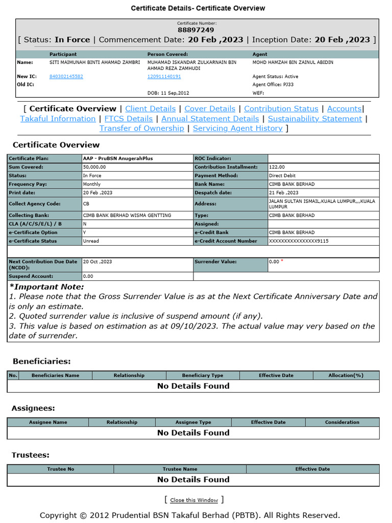 Certificate - Overview 11 | PDF